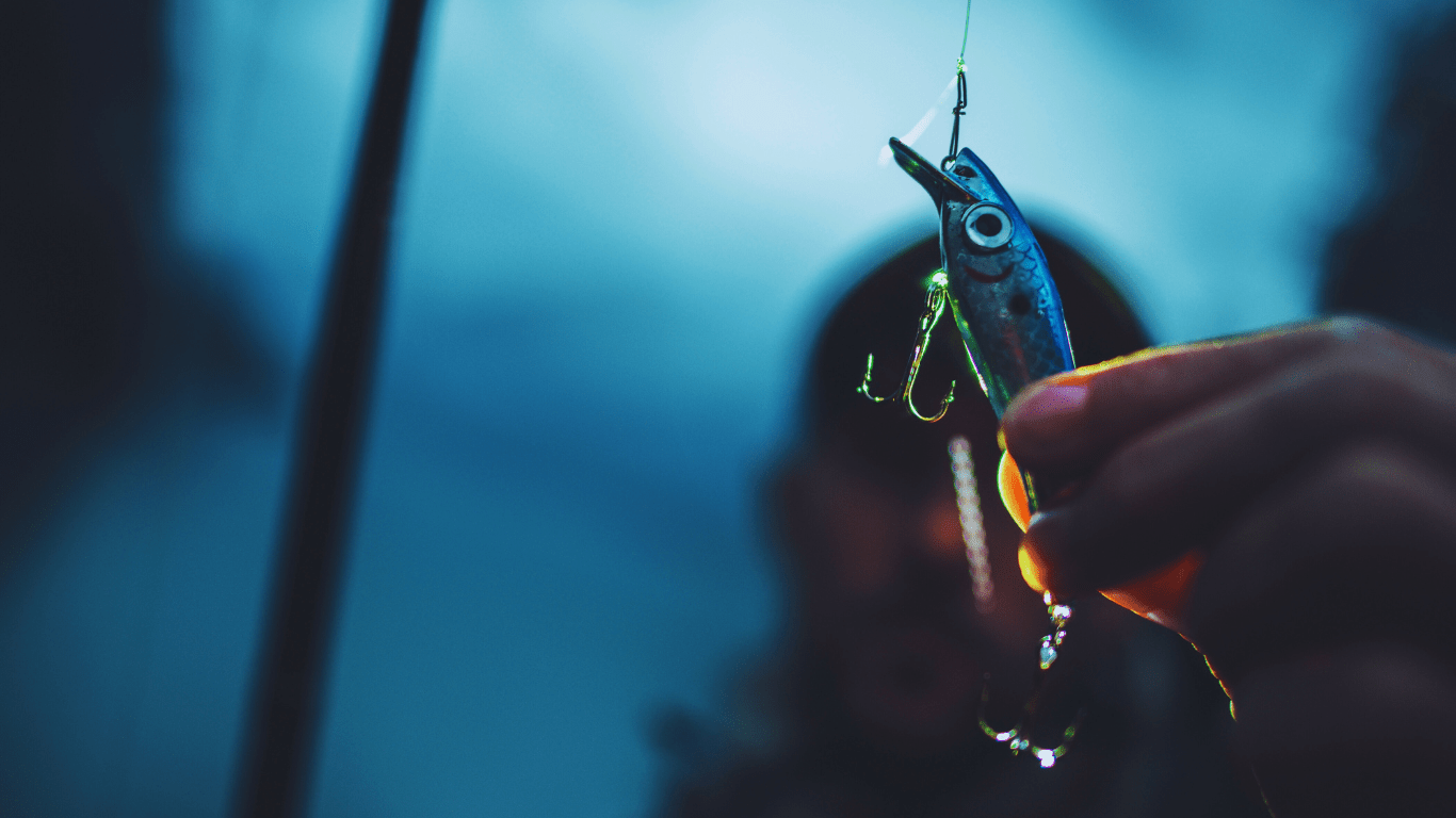 Bait vs. Lures: Choosing the Right Option for Maximum Fishing Success ...