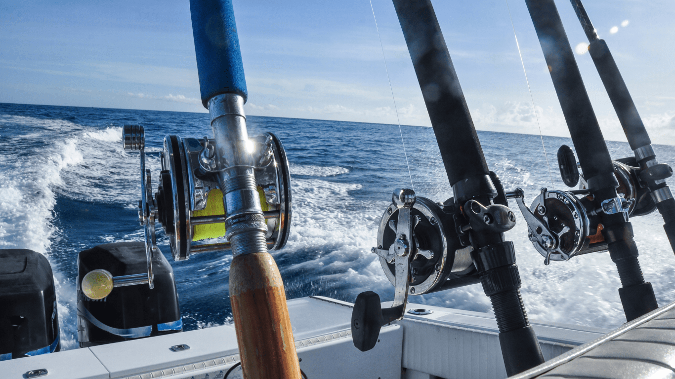 Electric vs. Manual Fishing Reels: Are They Worth the Investment? Pros ...