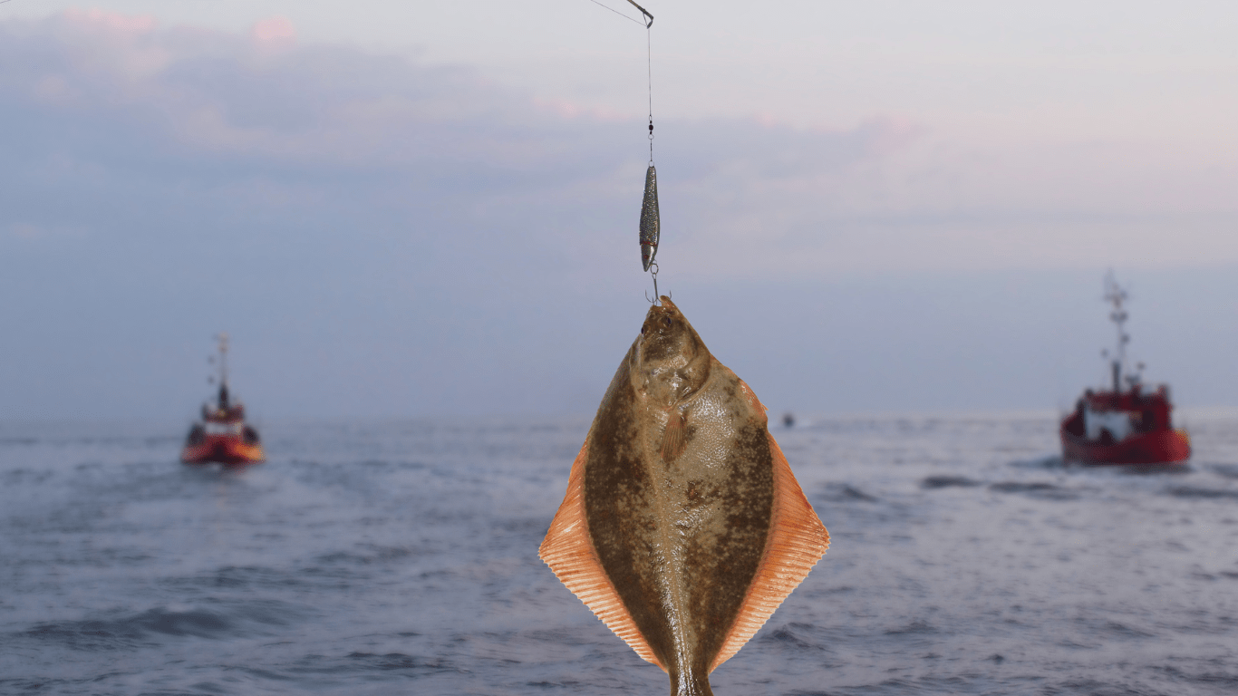 How to Fight and Land Big Fish Without Losing Them: Tips for Success ...