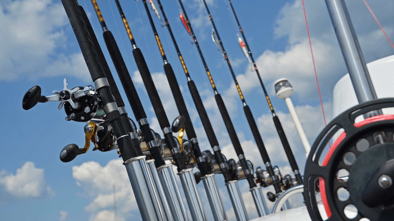 Top 10 Fishing Rods of 2025: Which One Should You Buy for Your Next ...