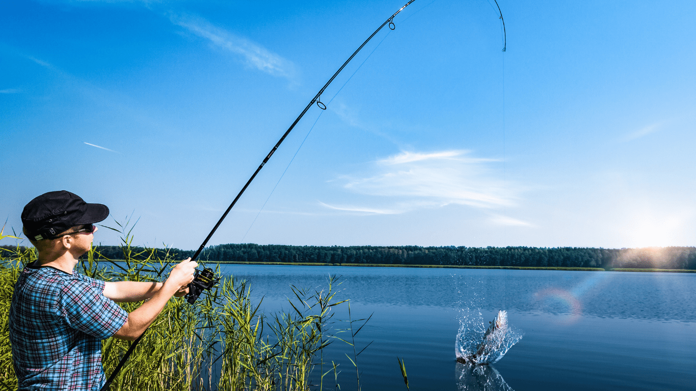 Trolling vs. Jigging: Which Fishing Technique is Best for Your Target ...
